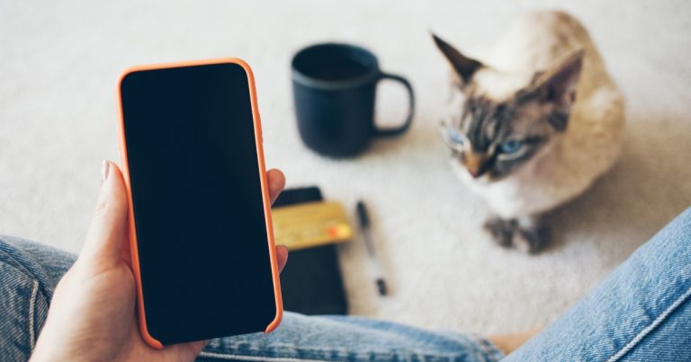 dアニメストアの支払方法や料金・登録方法｜クレジットカードなしでもOK！ | ultra pay カード